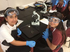 Top Rated Charter Schools and Education at River Islands, CA